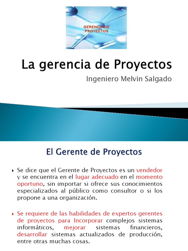 Claves del Éxito en Gestión de Proyectos | PDF | Liderazgo | Aprendizaje