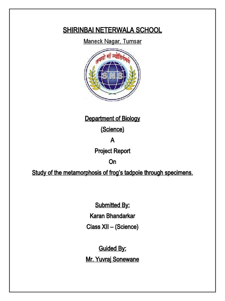 Karan Project | PDF | Egg | Frog