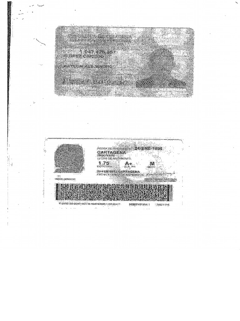 Documento - 2022-11-04T124205.212 | PDF