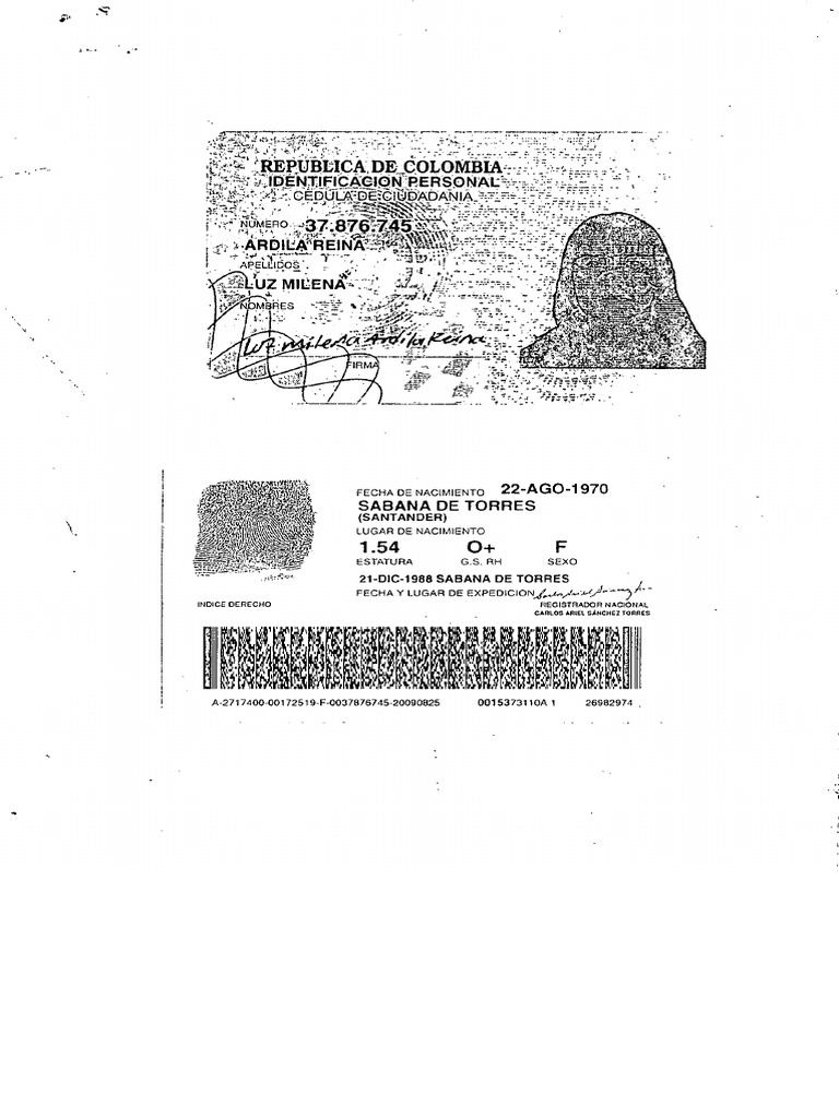 Documento - 2022-10-30T124059.871 | PDF