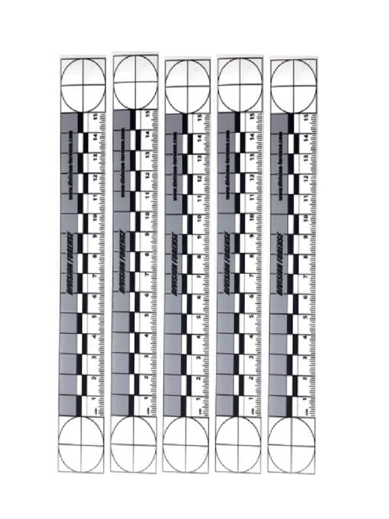 Testigo Metrico | PDF