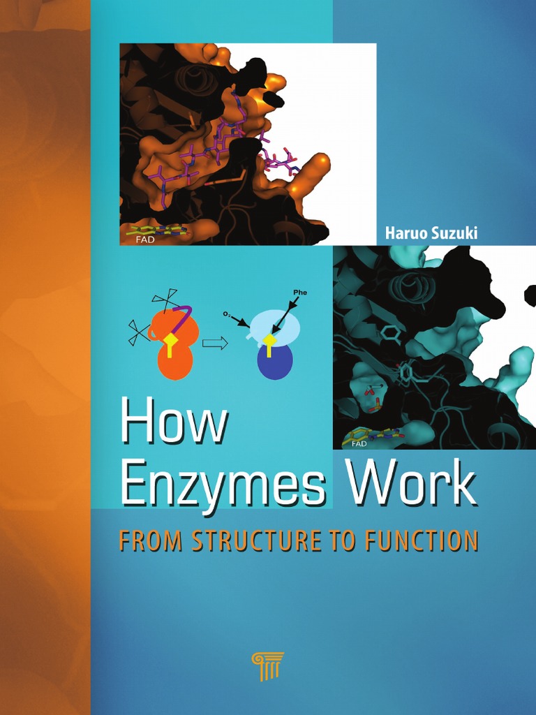 How Enzymes Work - From Structure To Function (2015) | Download Free ...