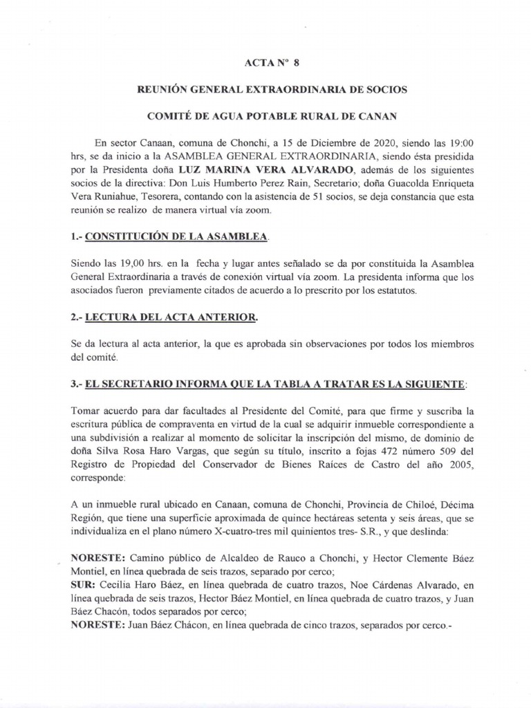 Acta 8 Comite Apr Canan | PDF