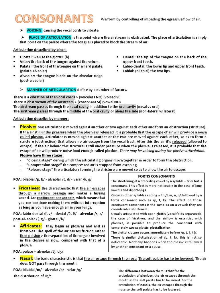Phono C&V | Download Free PDF | Human Communication | Human Throat