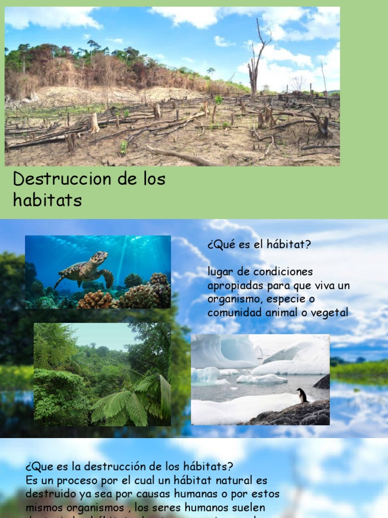 Destruccion Del Habitat | PDF