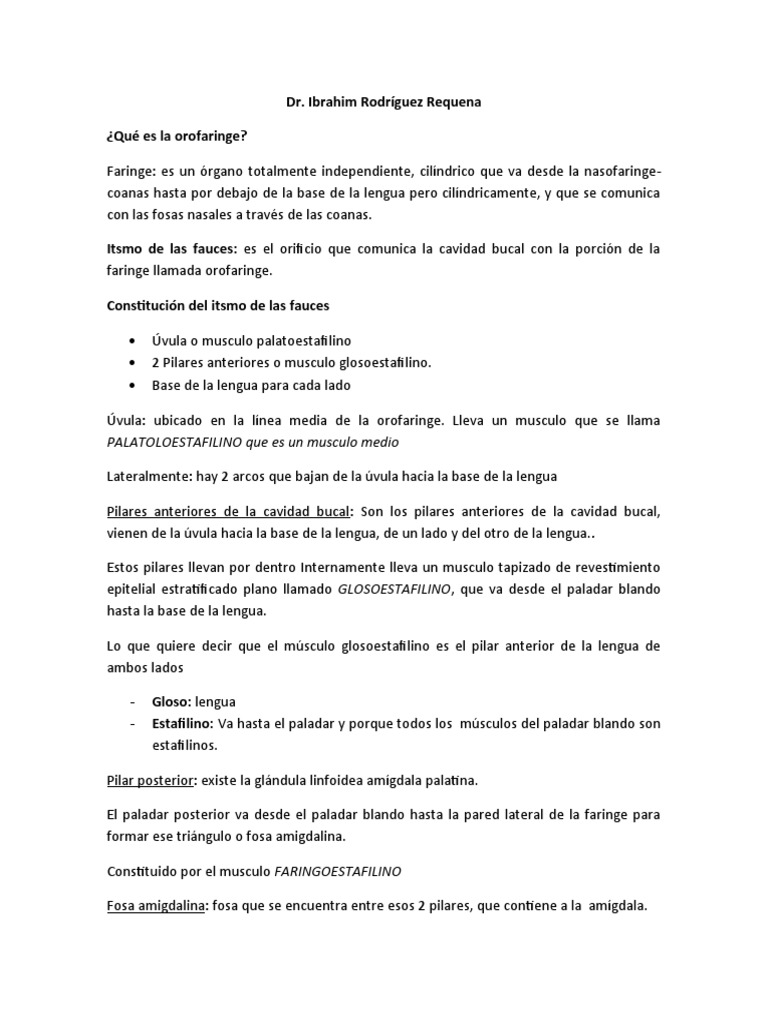 Orofaringe-Faringe | PDF | Sistema digestivo | Boca