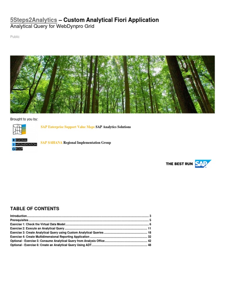 Hands On Document Step04 Analytical Query Web Dynpro Grid Pdf