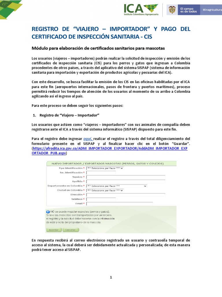 Guia de Registro de Viajero Importador y Pago Del Cis | PDF
