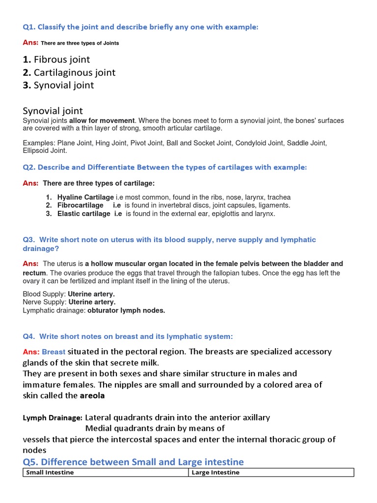 Anatomy Past Paper | PDF | Lung | Heart