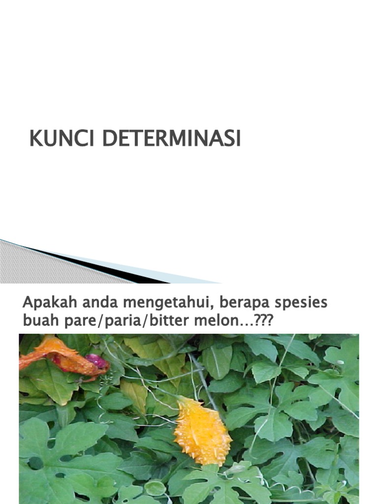 Kunci Determinasi | PDF