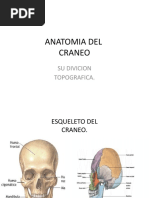 Escala San Elian Minsal | PDF | Pie | Enfermedades y trastornos humanos
