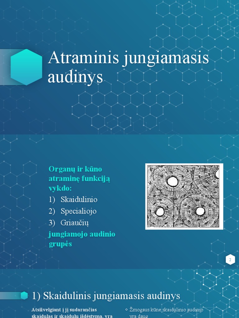 Jungiamasis Atraminis Audinys | PDF