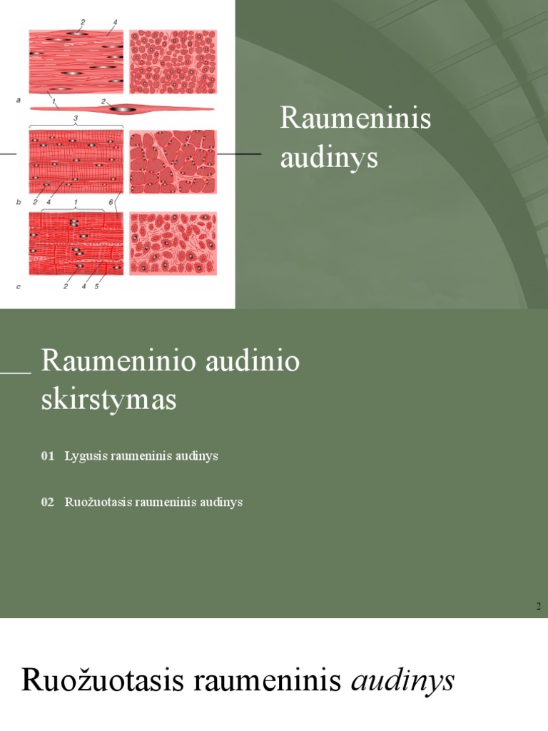 Raumeninis Audinys | PDF