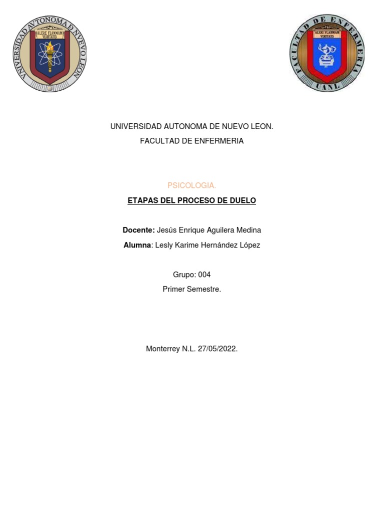 Etapas del Proceso de Duelo Emocional | PDF | Dolor | Depresión (estado ...