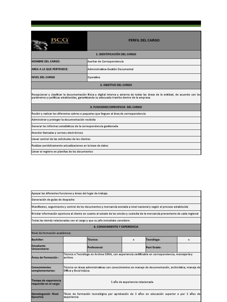 Formato Manual de Funciones | PDF | Business