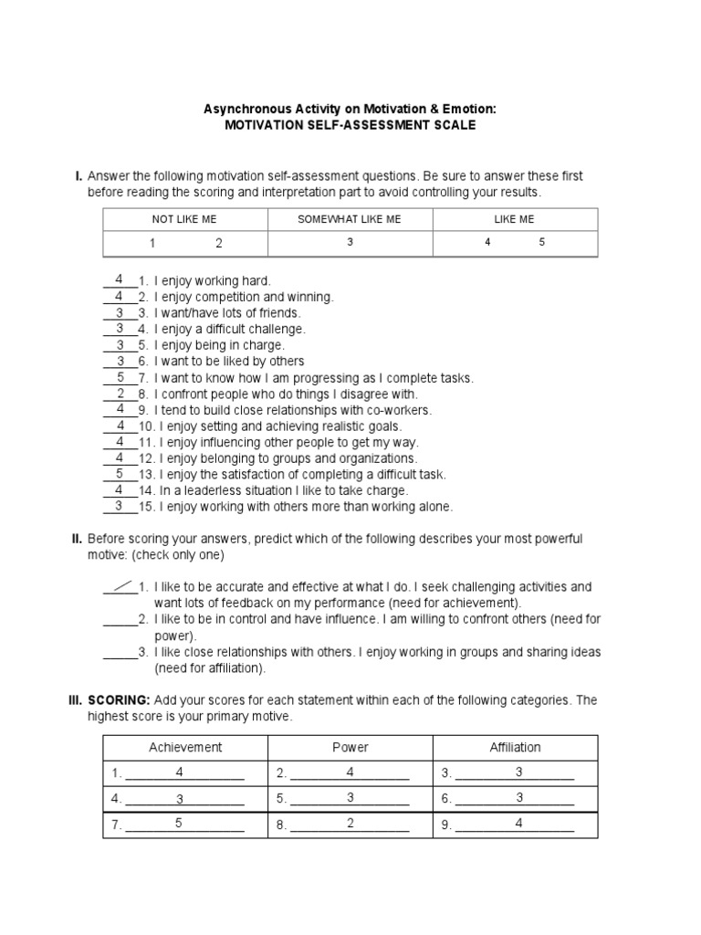 Motivation Self Assessment | PDF | Motivation | Motivational