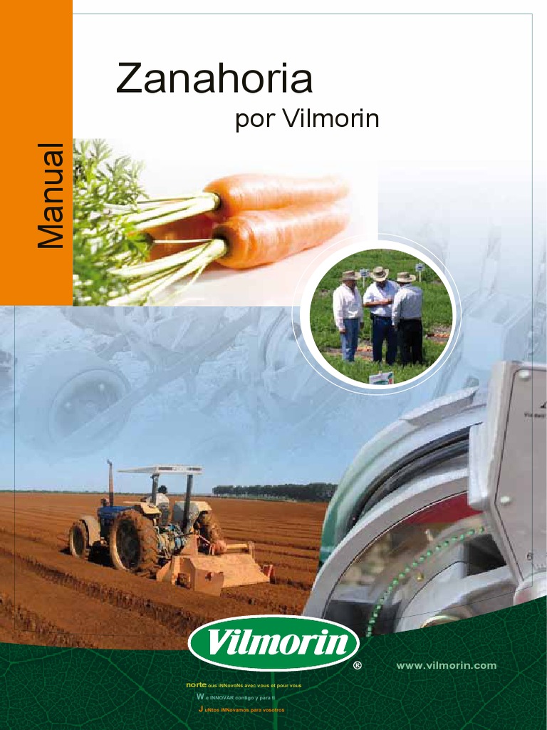 Manual para Produccion de Zanahoria - En.es | PDF | Agricultura | Suelo Manual para Produccion de Zanahoria - En.es | PDF | Agricultura | Suelo