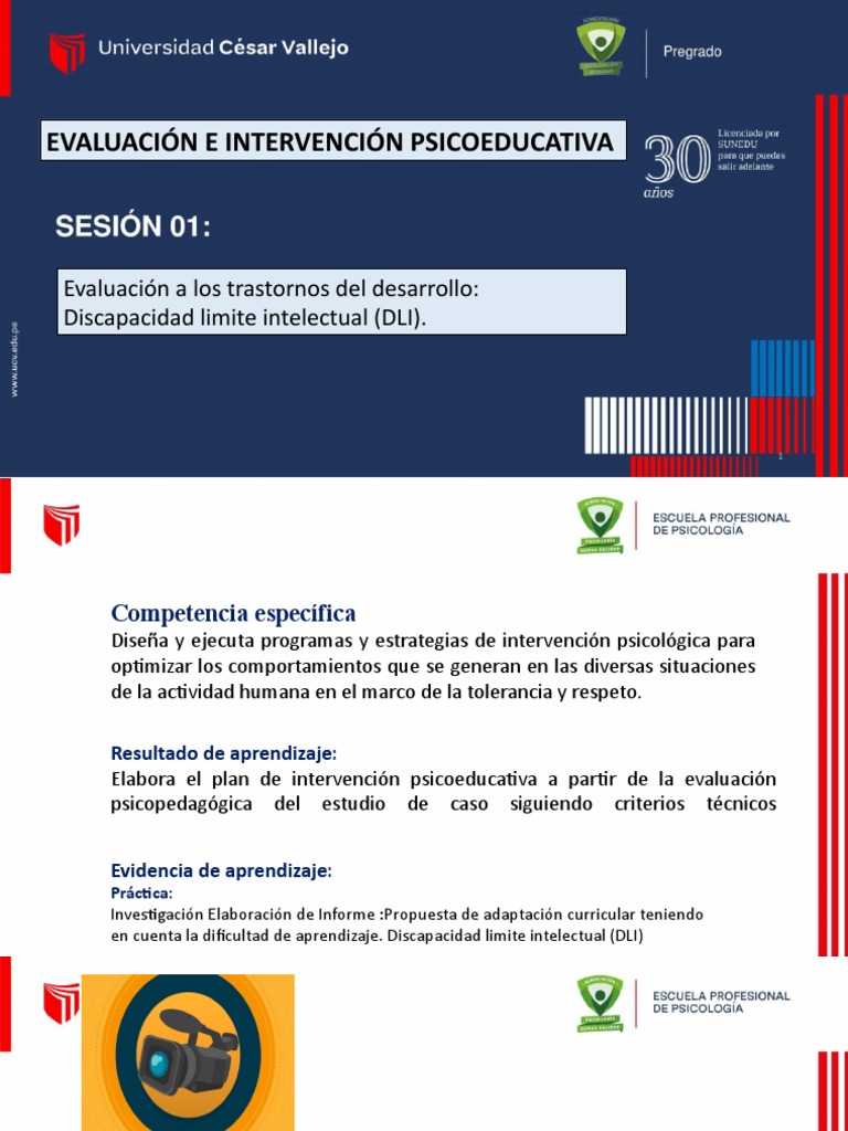 Evaluación e Intervención en DLI | PDF | Discapacidad intelectual | Aprendizaje