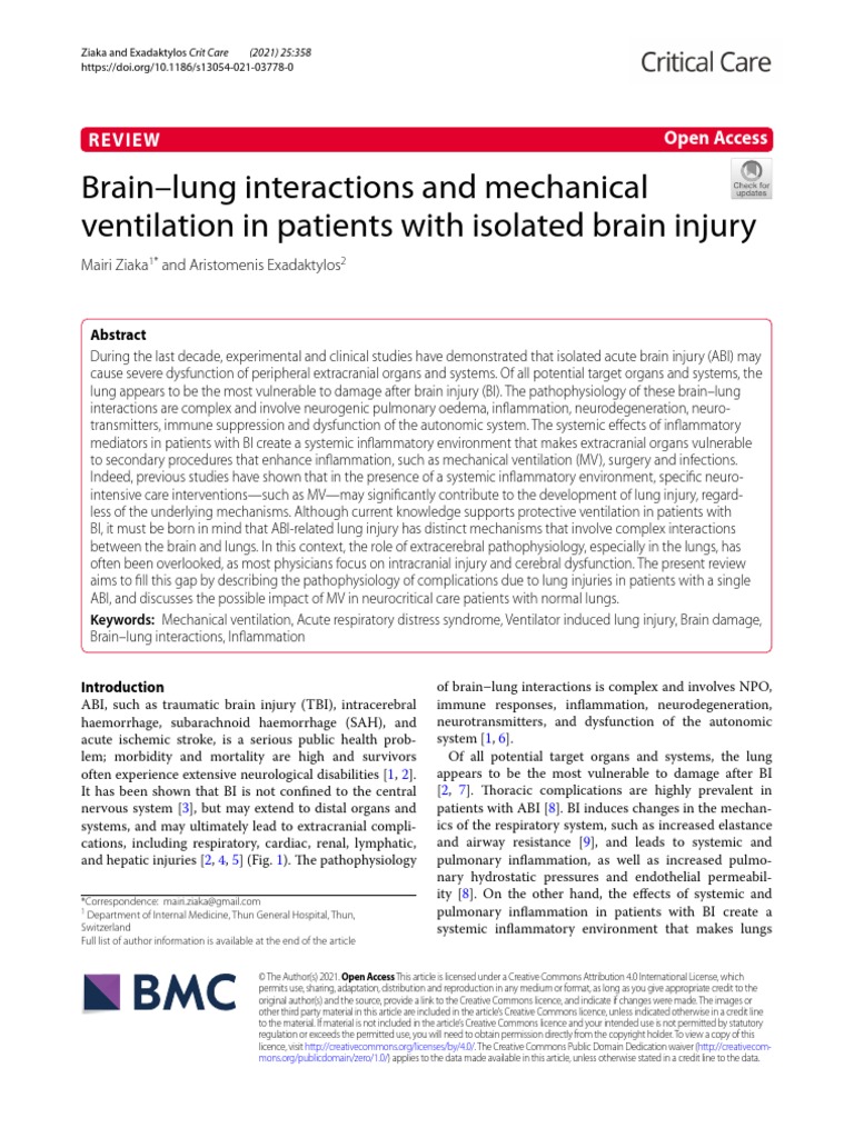 Brain-Lung Interactions and Mechanical Ventilation in Patients With ...