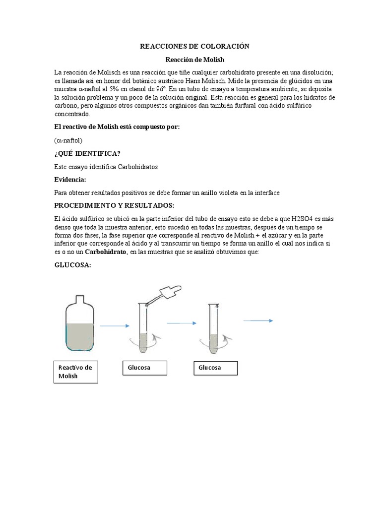 Reacción de Molish y Fheling | PDF | Carbohidratos | Bioquímica