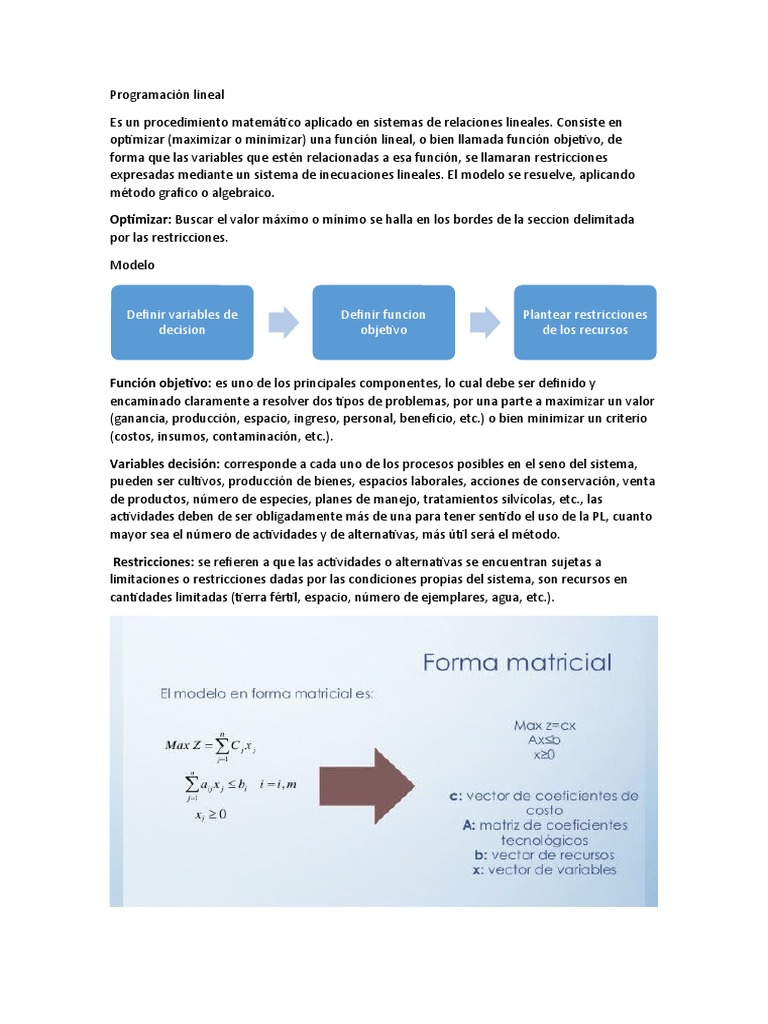 Conceptos Operativa | PDF | Inventario | Programación lineal