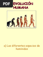 Dryopithecus | PDF | Hominidae | Homo Sapiens