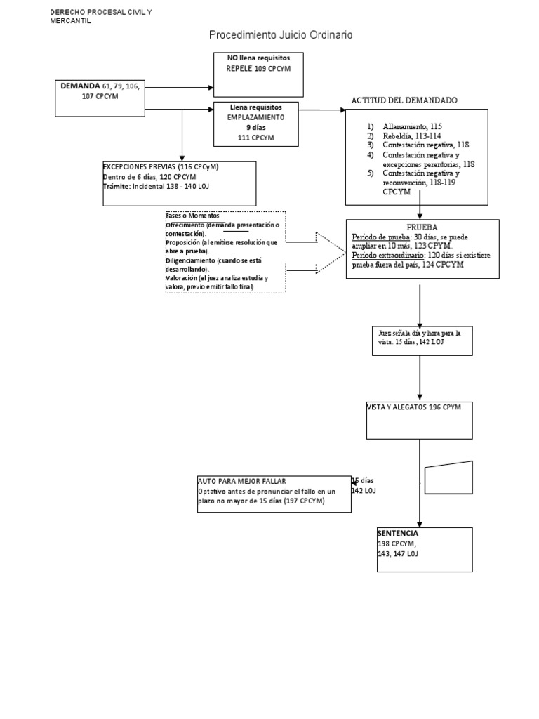 Esquema Del Juicio Ordinario Pdf Justicia Crimen Y Violencia