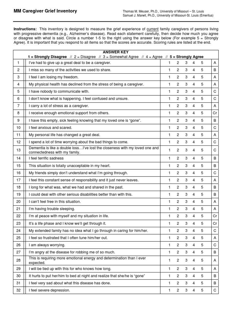 MM CGI 50 Full Version | PDF | Caregiver | Dementia