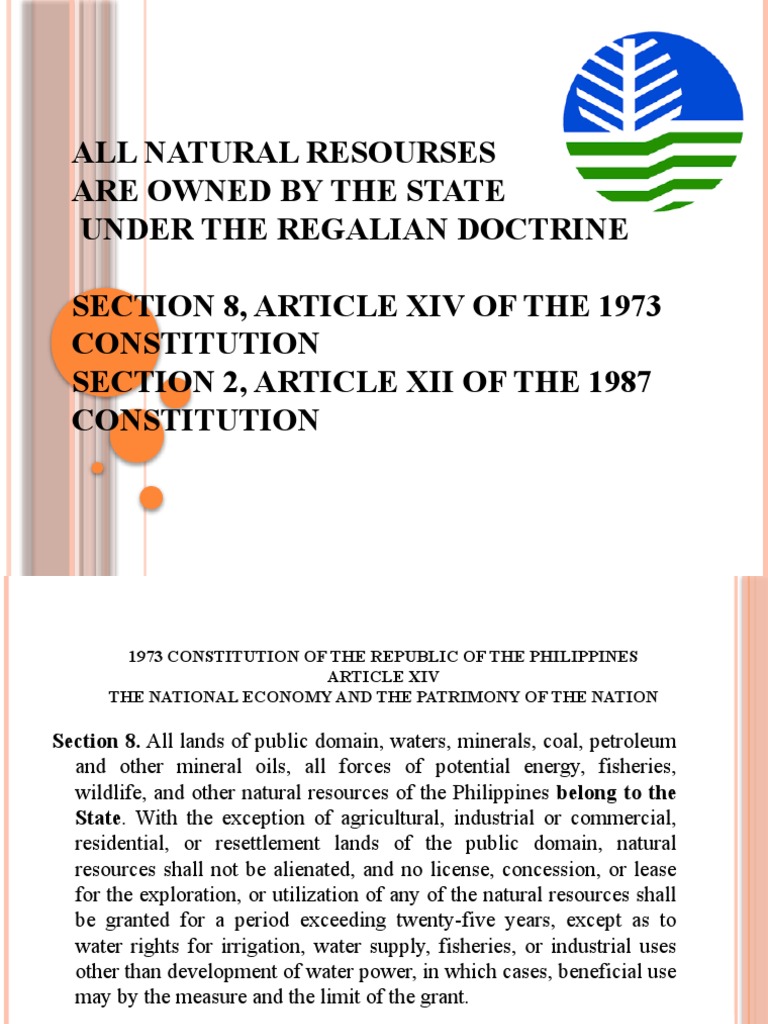 1 PD 705 ELE-EO 23 - Chainsaw | PDF | Forestry | Crimes