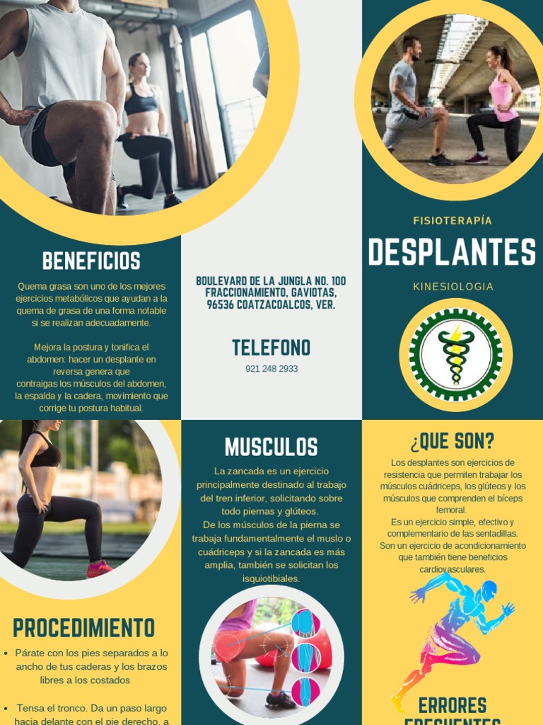 Triplico Kinesiología | PDF | Sistema musculoesquelético | Anatomía humana