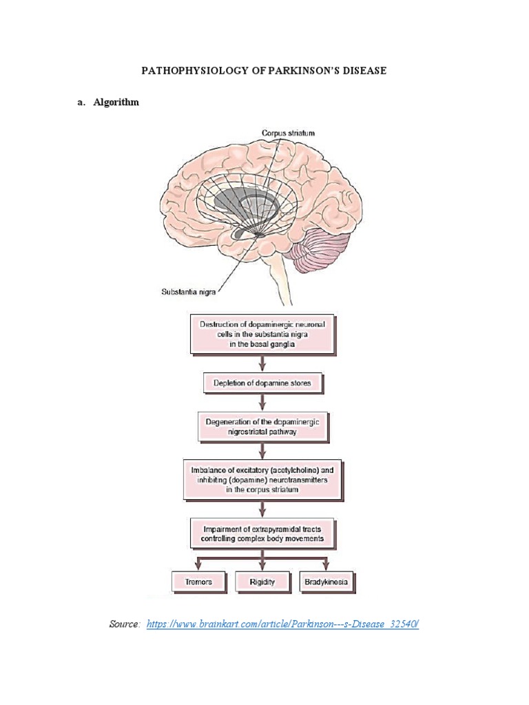 Pathophysiology of PD | PDF