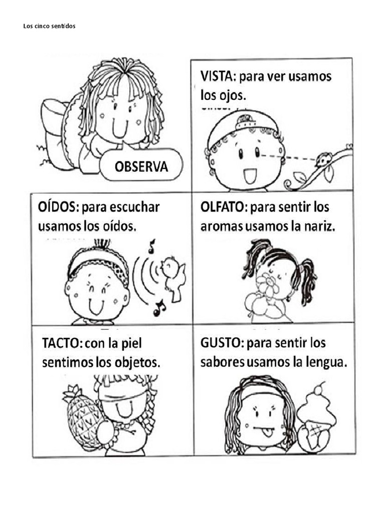Los Cinco Sentidos | PDF | Lingüística | Escritura