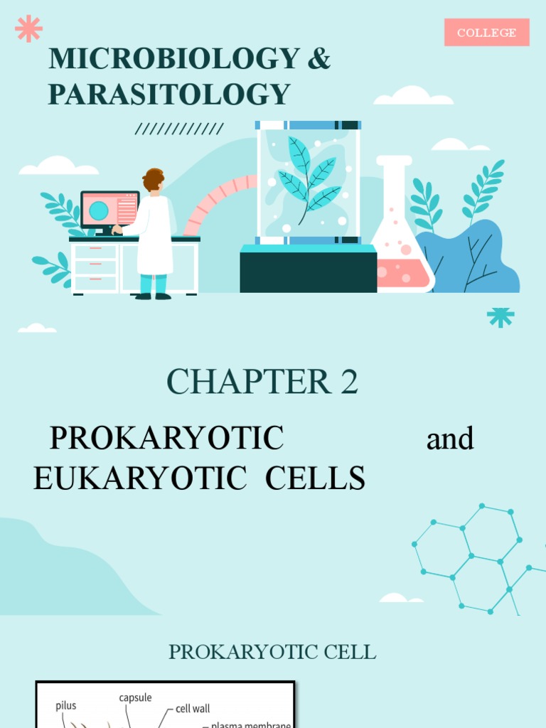 Prokaryotic vs Eukaryotic Cells Guide | PDF | Cell (Biology) | Eukaryotes