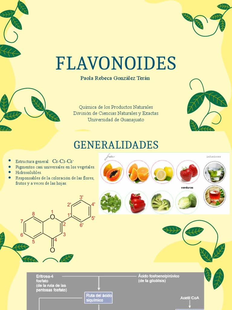 Flavonoides: Estructura y Funciones | PDF | Flavonoide | Productos ...
