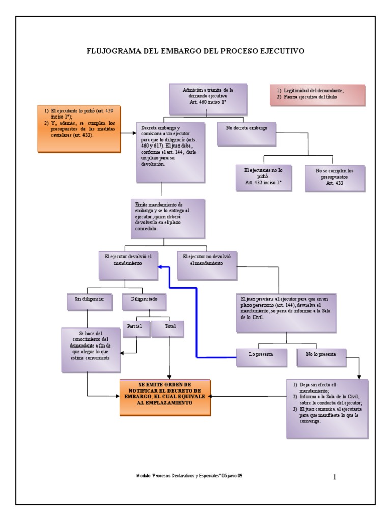 Flujograma Del Embargo | PDF | Justicia | Crimen y violencia