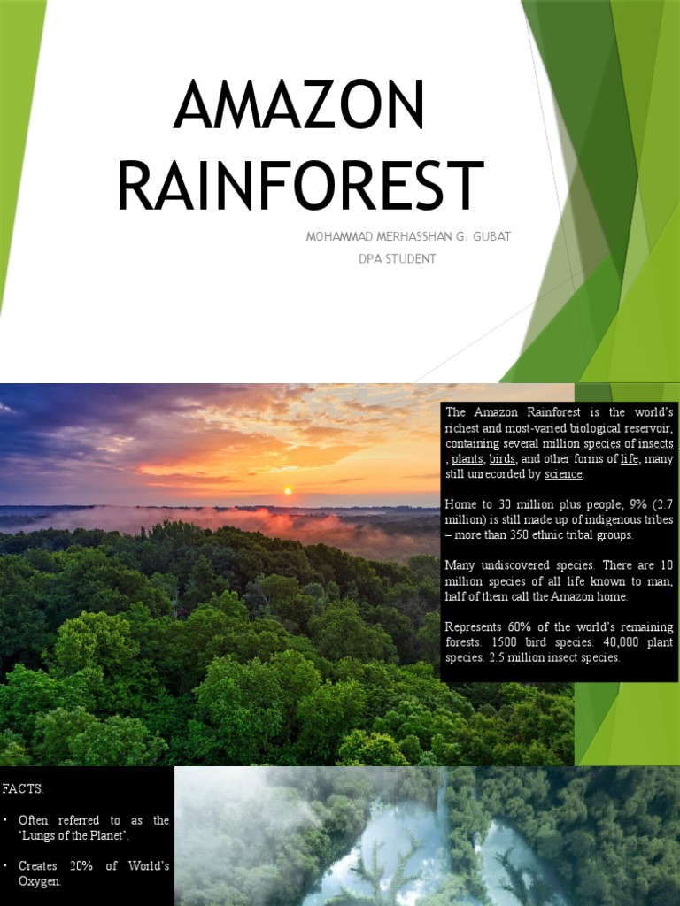 Amazon Rainforest | PDF