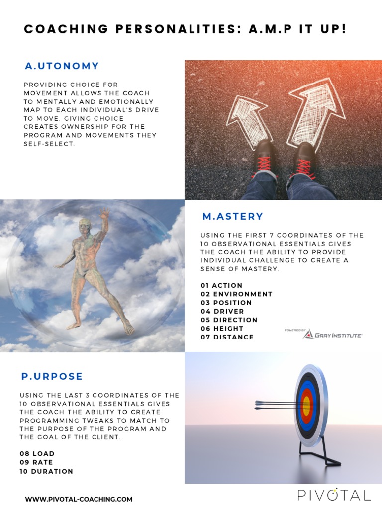 Pivotal 3 | PDF | Behavior Modification | Behavioural Sciences