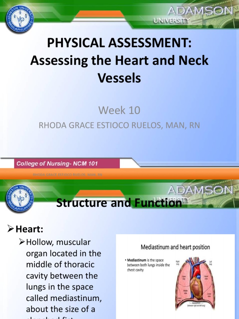 Heart Assessment Guide | PDF | Heart Valve | Heart