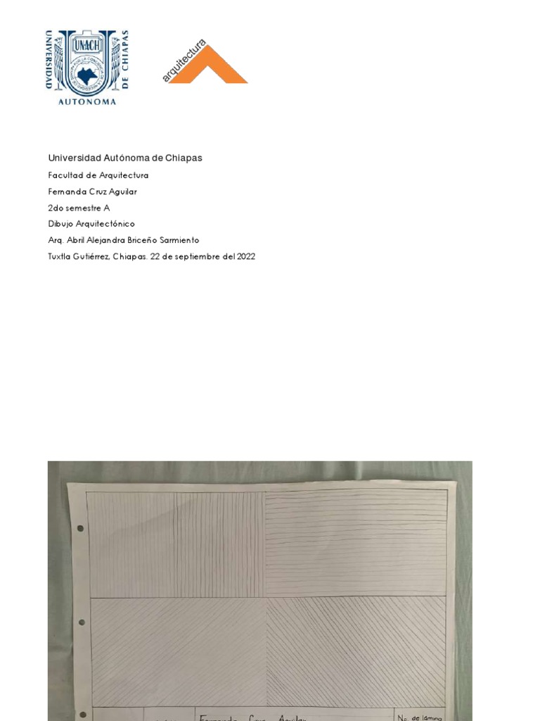 Conceptos Básicos Del Dibujo Arq | PDF
