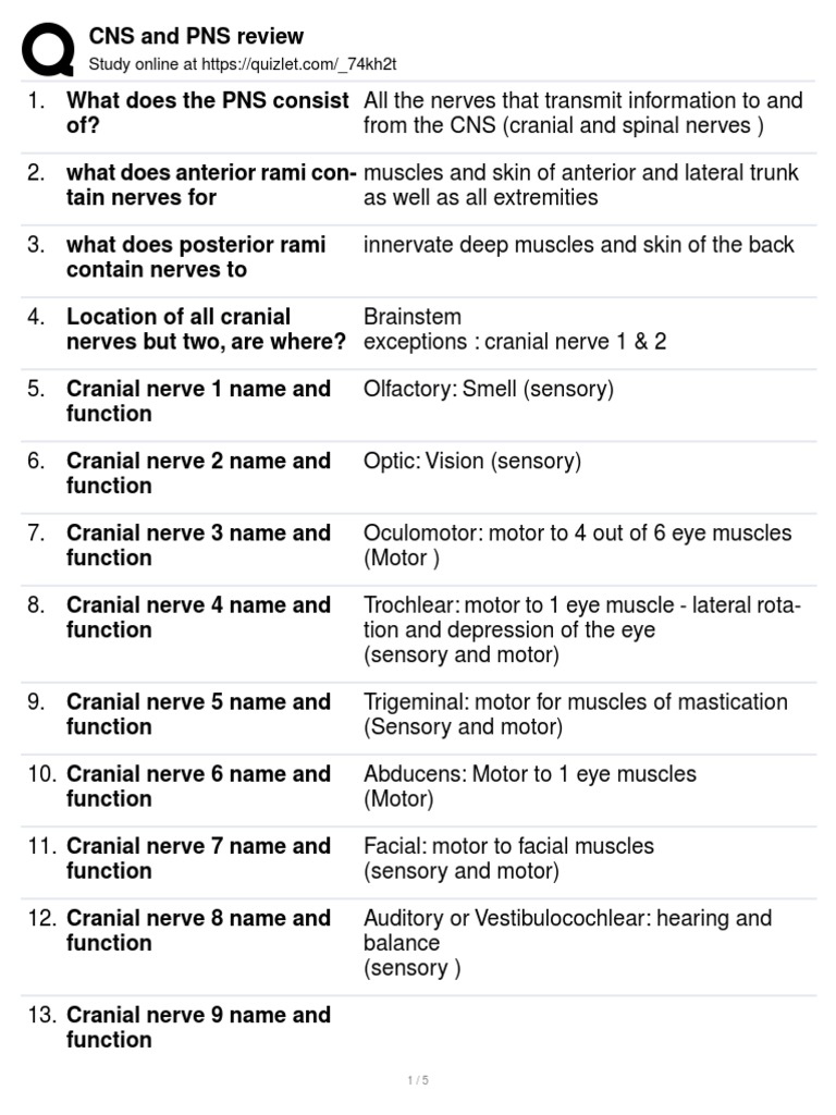 PNS Abd CNS Review | PDF | Central Nervous System | Nerve