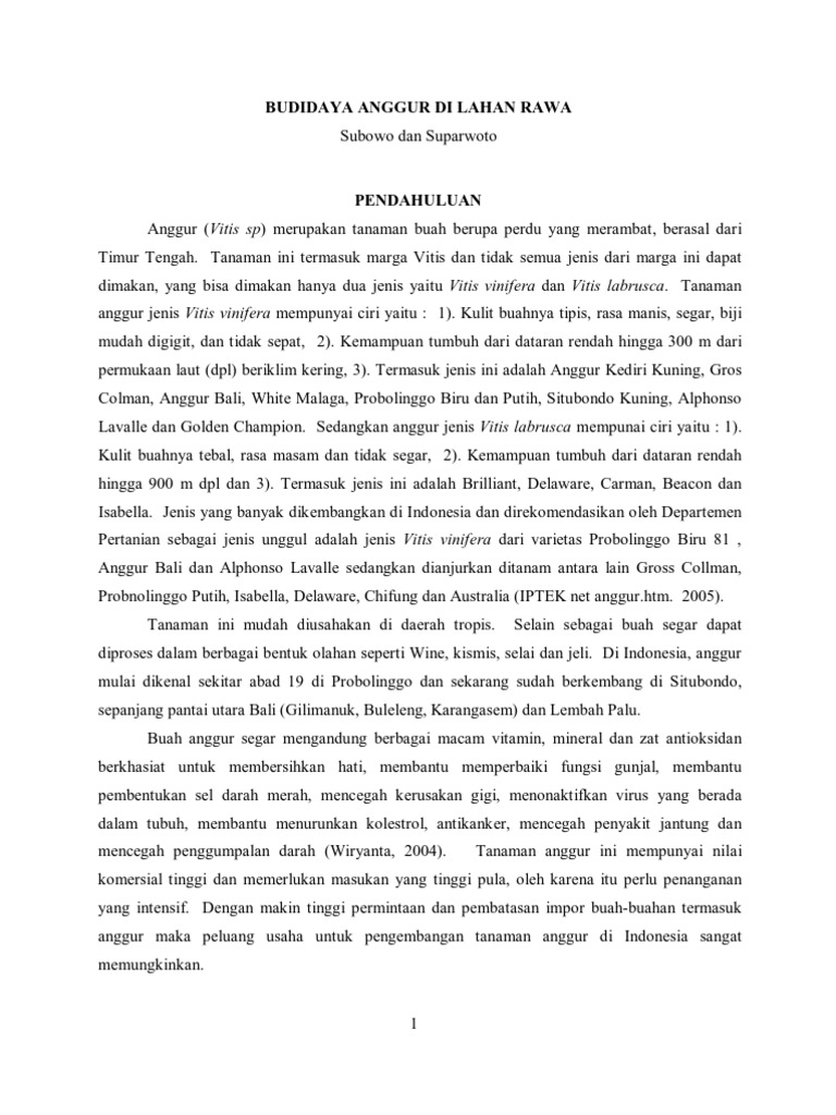 Budidaya Anggur | PDF