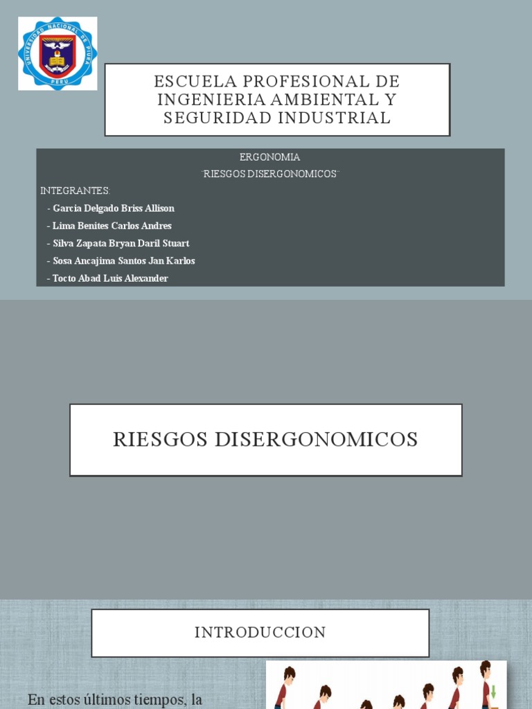 Evaluación de Riesgos Disergonómicos | PDF | Factores humanos y ergonomía
