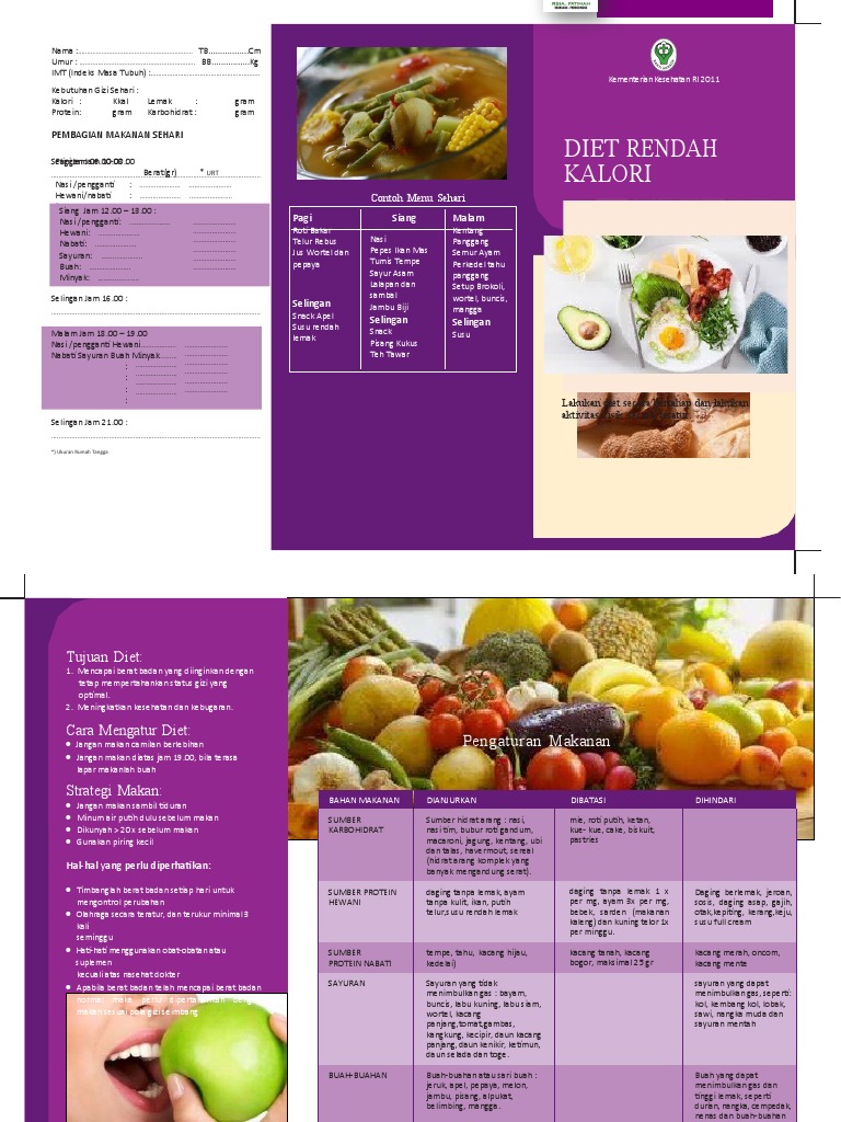 Diet Rendah Energi | PDF