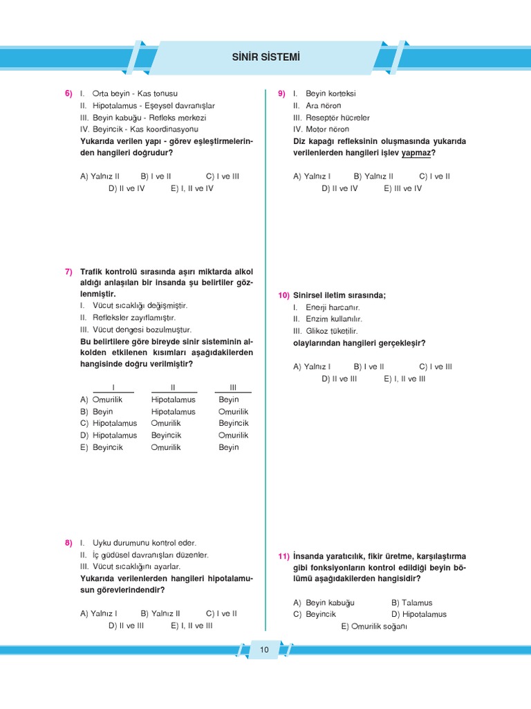 Sınıf Biyoloji Soru Bankası - Ornek | PDF