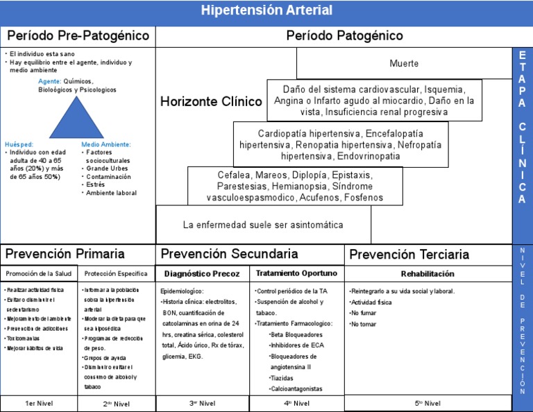 Historia Natural de La Enfermedad Hipertensión | PDF | Hipertensión ...