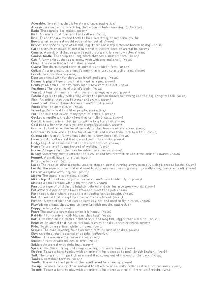 ESL Vocabulary: Pets and Animals | PDF | Dogs | Noun