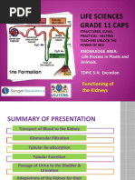 Grade 11 DIGESTIVE SYSTEM LECTURE NOTES | PDF | Human Digestive System ...
