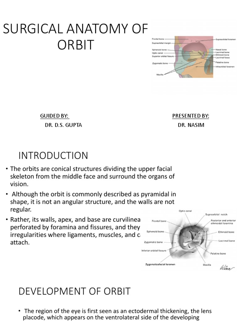 Surgical Anatomy of Orbit | PDF | Eye | Sensory Organs