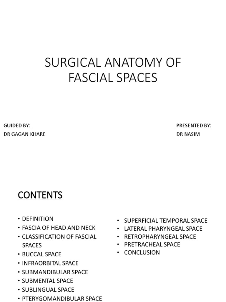 Surgical Anatomy of Fascial Spaces | PDF | Common Carotid Artery | Neck
