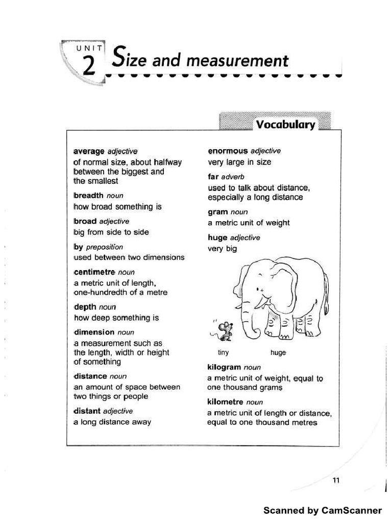 Unit 2 - Size and Measurement | PDF